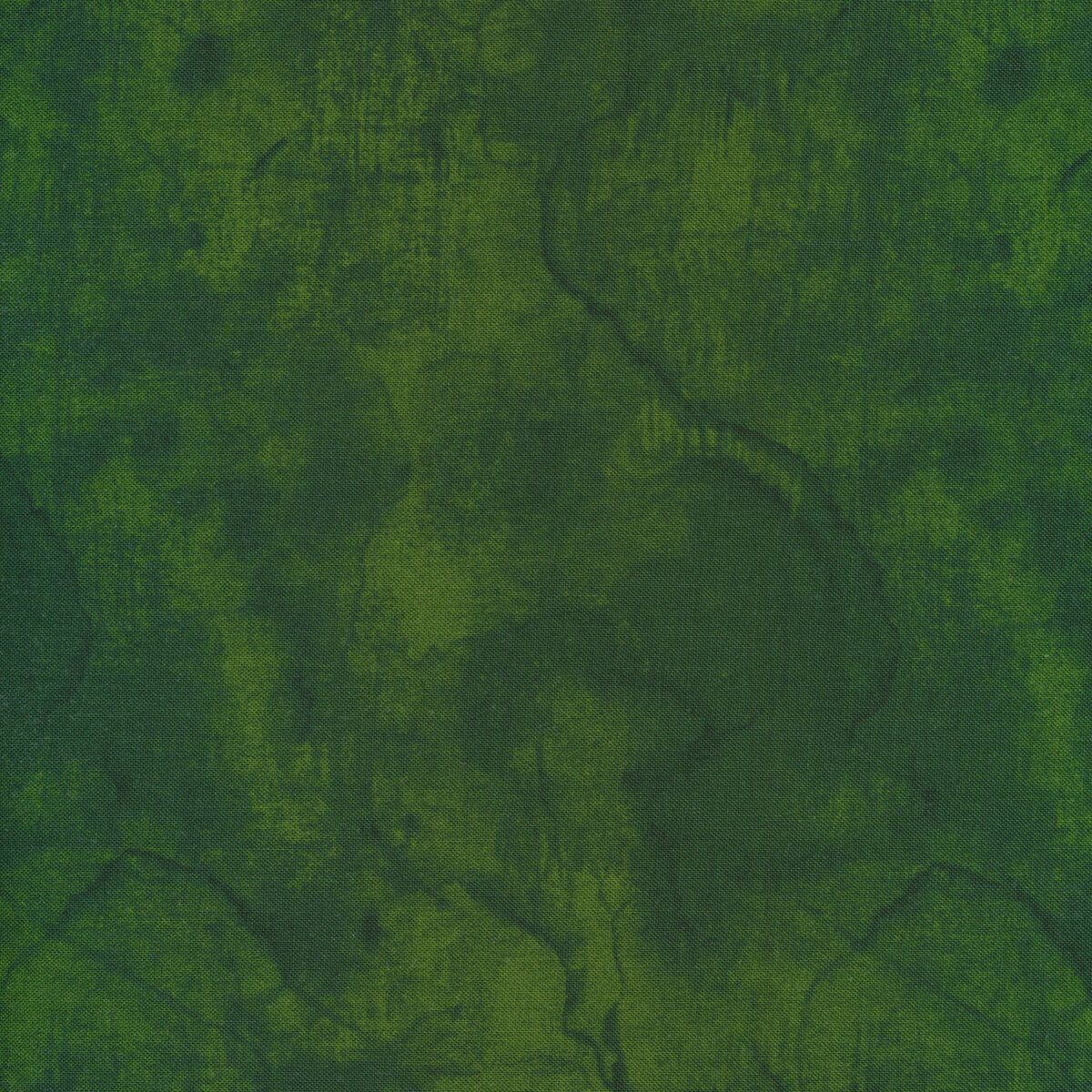 Urban Legend 7101-66 Green by Blank Quilting Corporation | Shabby Fabrics