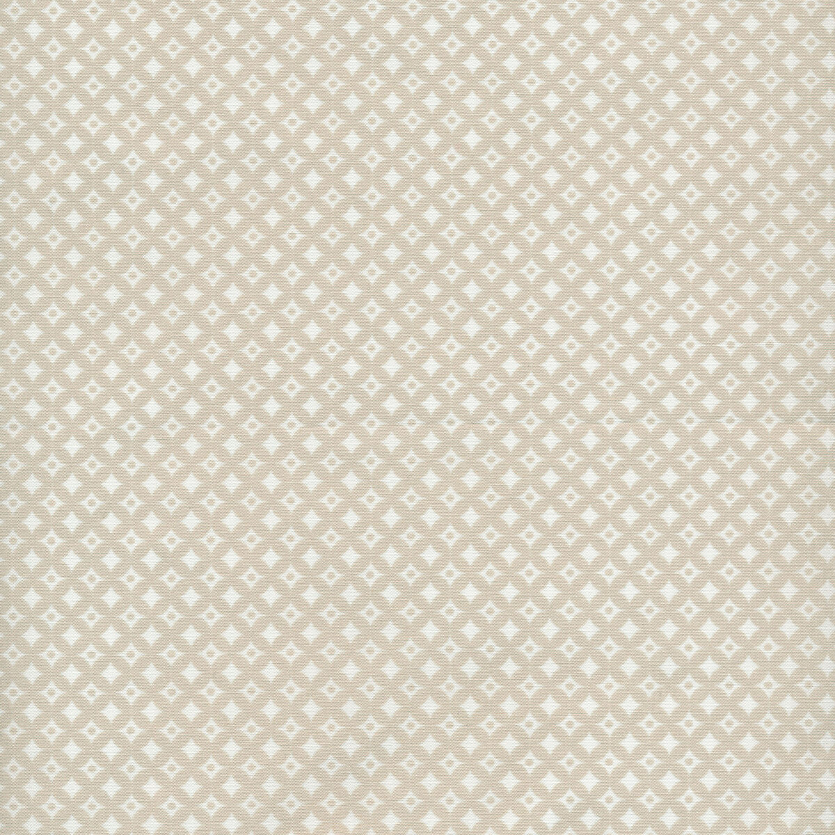 Soften the Volume CAP-SV-11602 Petal Trellis by Art Gallery Fabrics | Shabby Fabrics