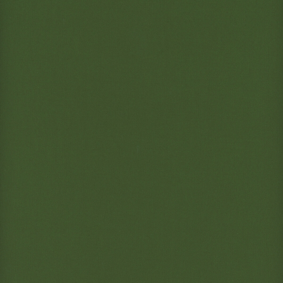 Confetti Cottons C120-TIMBERLINE by Riley Blake Designs | Shabby Fabrics