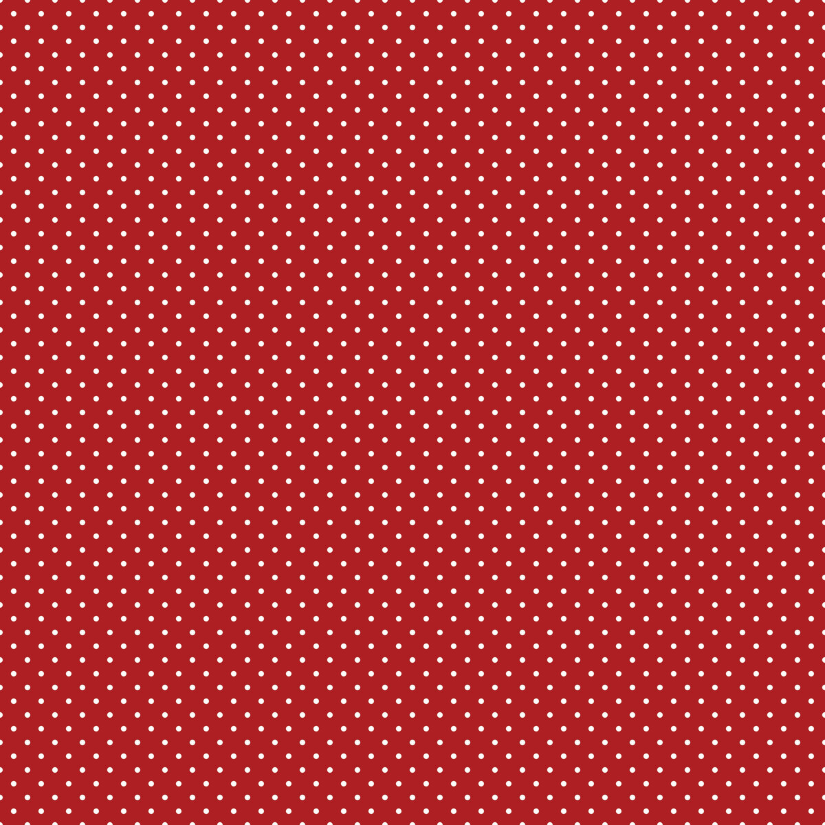 Swiss Dot C670-BARNRED by Riley Blake Designs | Shabby Fabrics