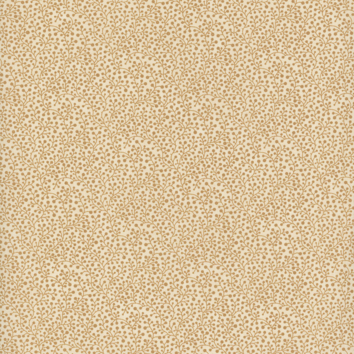 KT Favorites Backgrounds 9779-11 Dandelion by Kansas Troubles Quilters ...