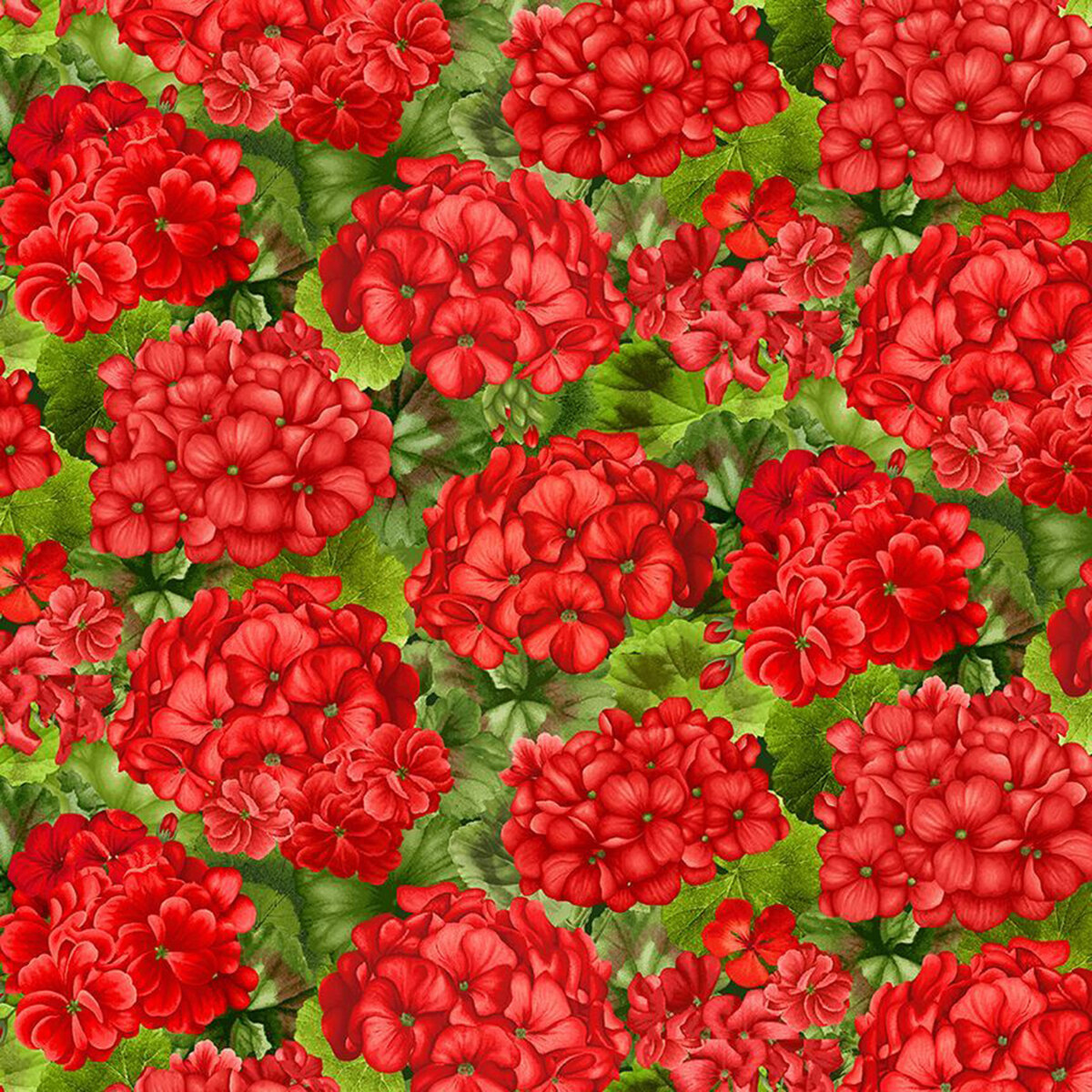 Scarlet Beauty FLEUR-CD3183 Red by Timeless Treasures Fabrics | Shabby ...