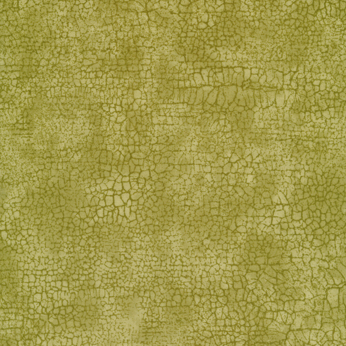 Crackle 9045-73 Moss by Northcott | Shabby Fabrics