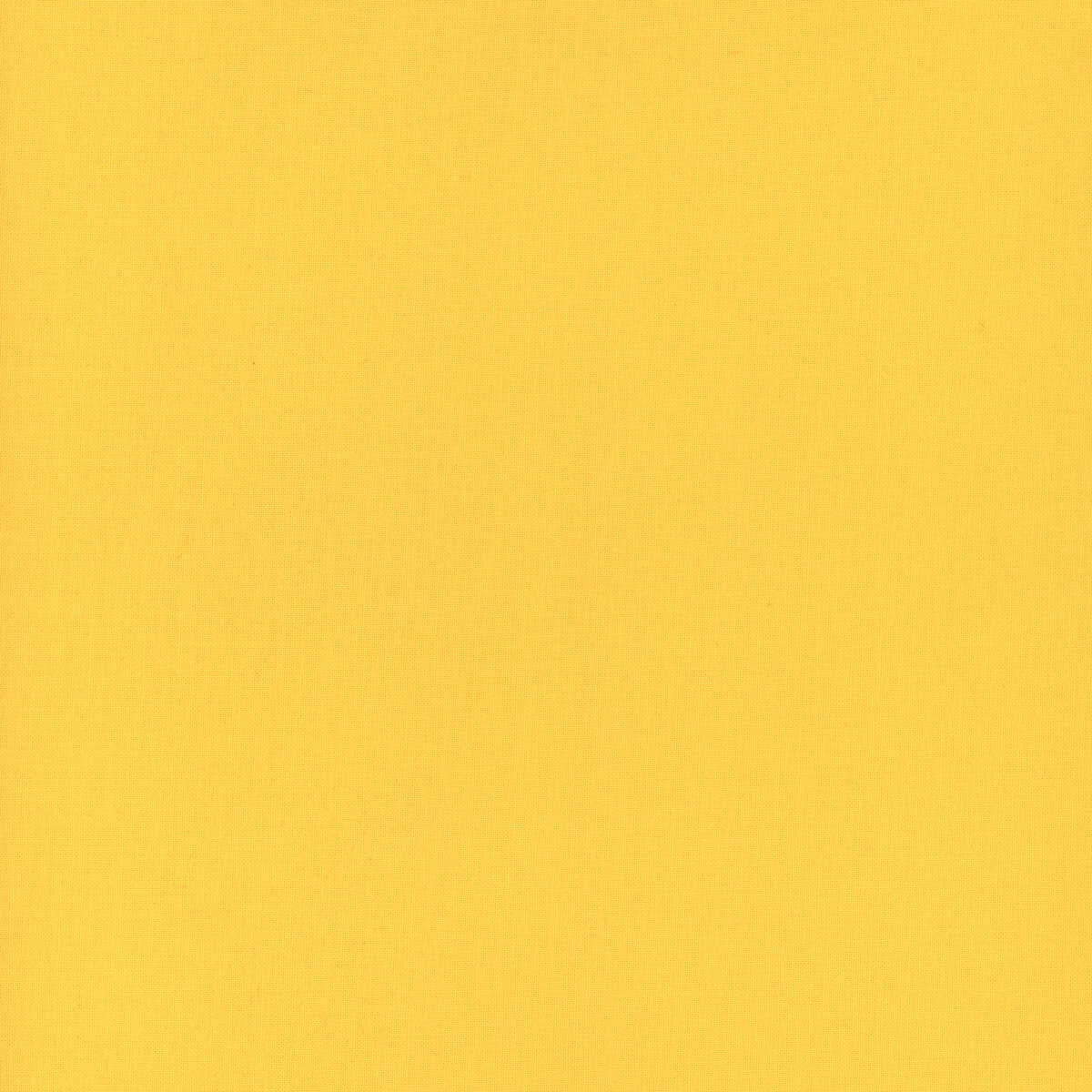 Bella Solids 9900-250 Daffodil by Moda Fabrics | Shabby Fabrics