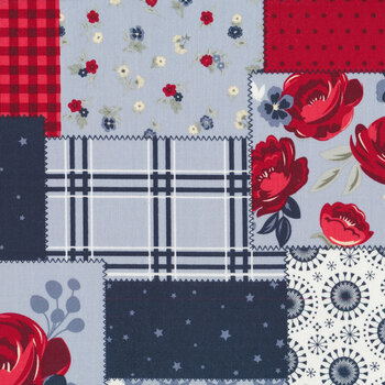 Swiss Dot C670-80 RED by Riley Blake Designs | Shabby Fabrics