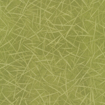 Forest Chatter Fabric from Maywood Studio | Shabby Fabrics